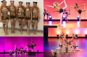 What is the Acrobatic Arts Syllabus? - The WA Performance School